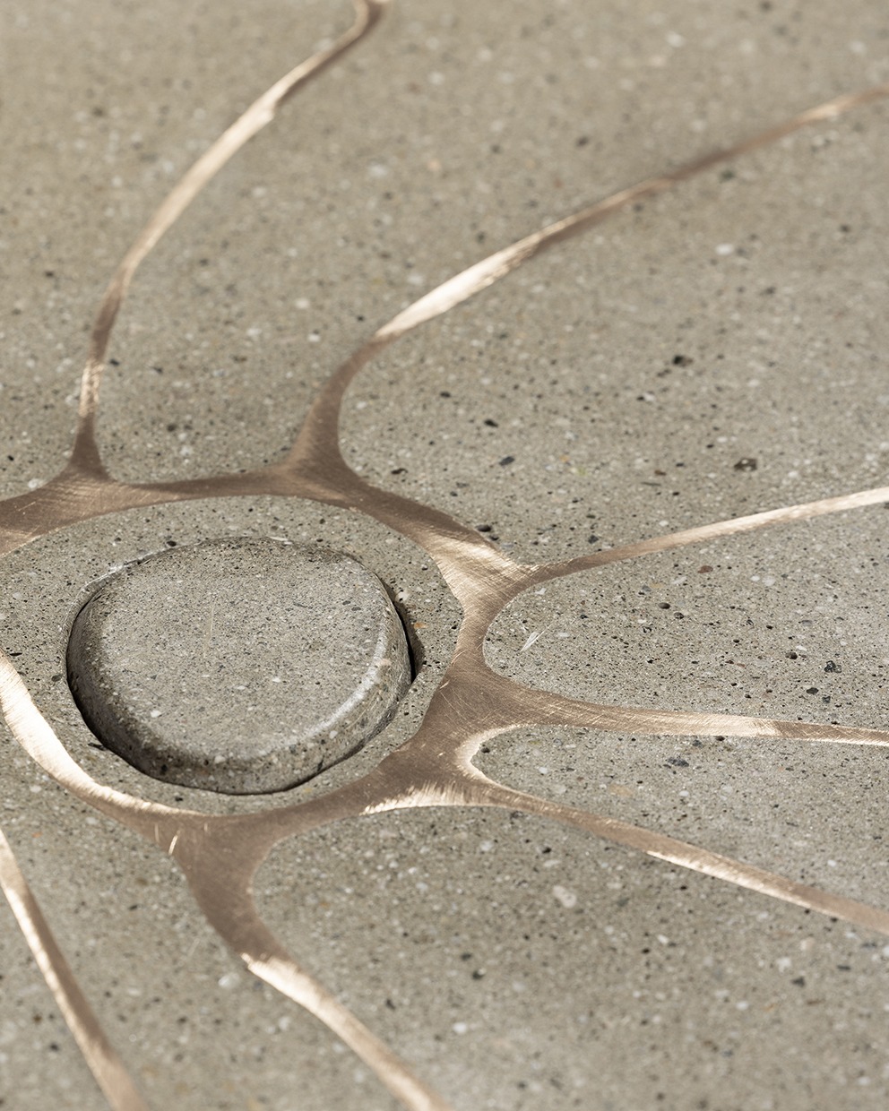 Poppy | James De Wulf